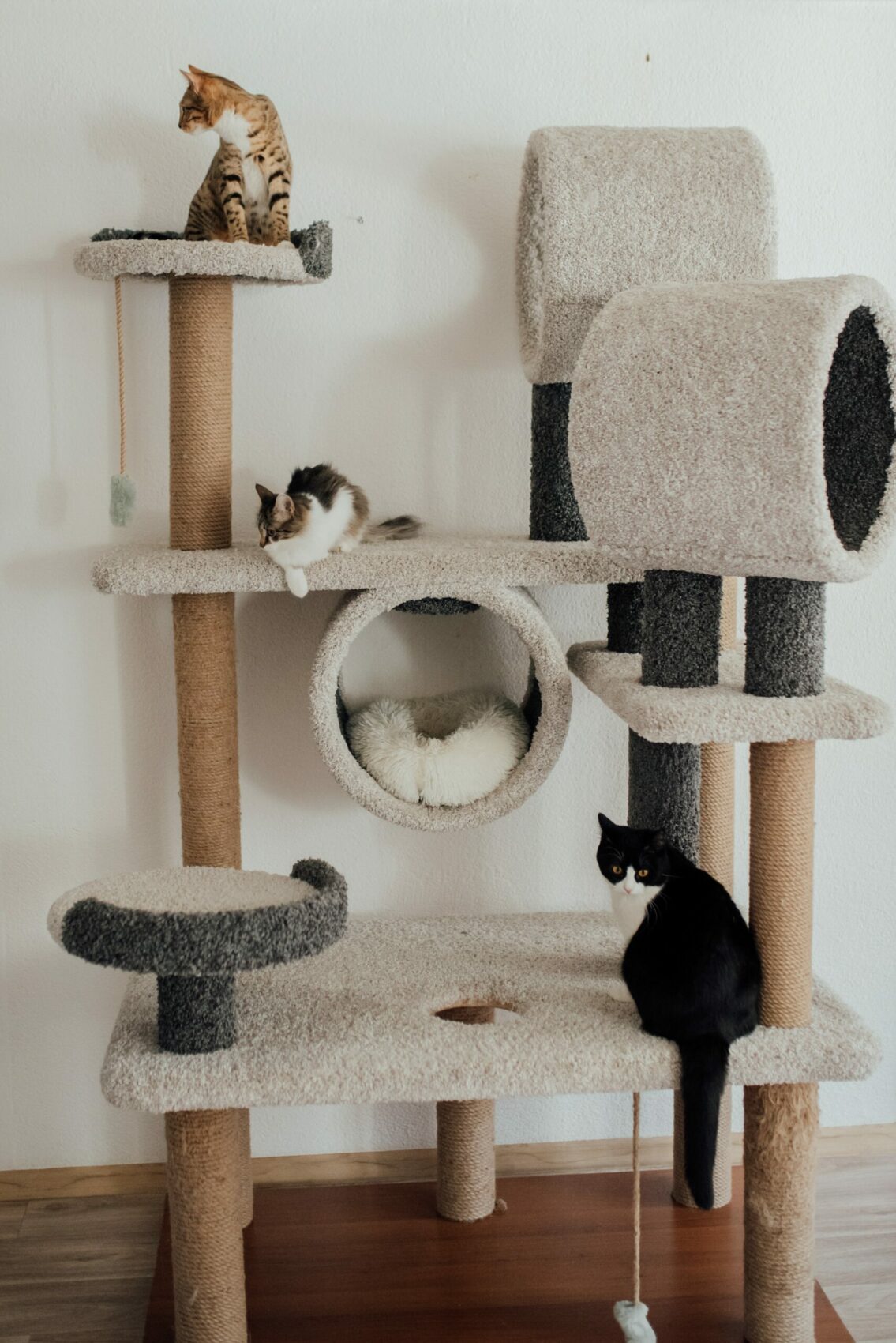 10 Expert Ideas On How To Build A Cat Tree At Home